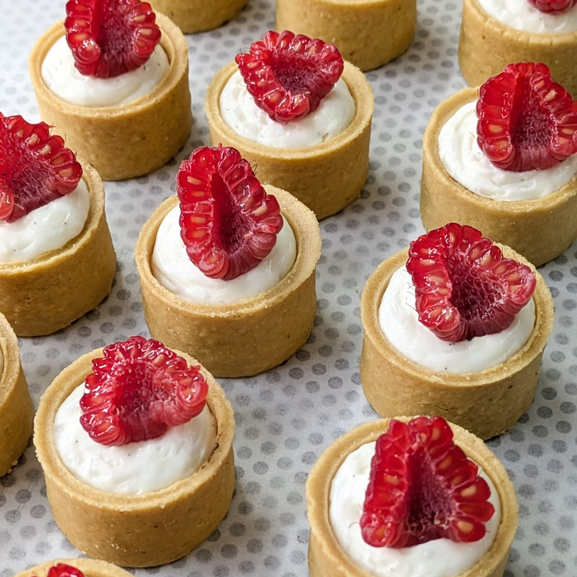 Cupcakes & Mini Pastries – Frenchie Toquee